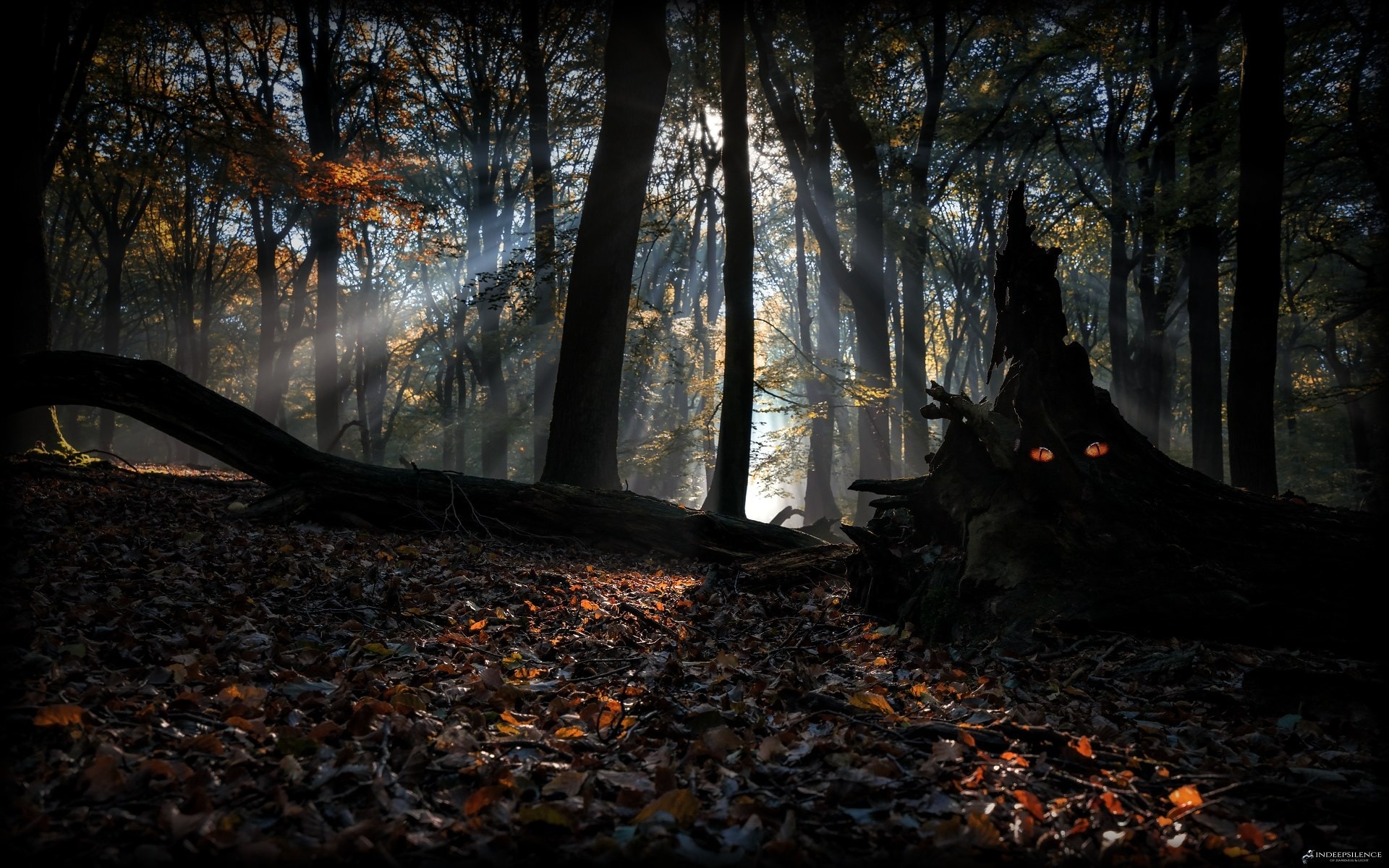 Creatures - Indeepsilence.com - Of Darkness And Light